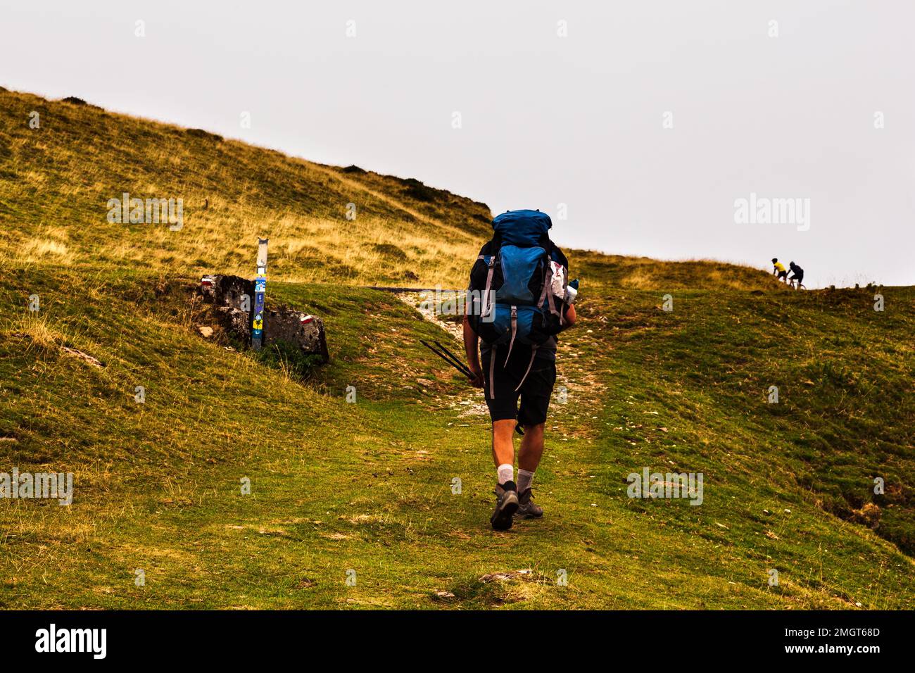 Pilgrim from behind along the Camino de Santiago. Path of the way of St ...