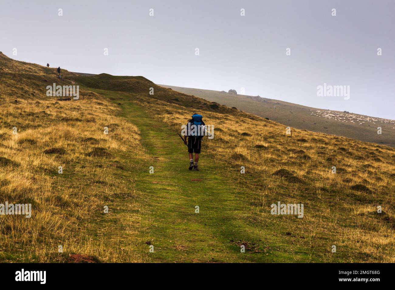 Pilgrim from behind along the Camino de Santiago. Path of the way of St ...