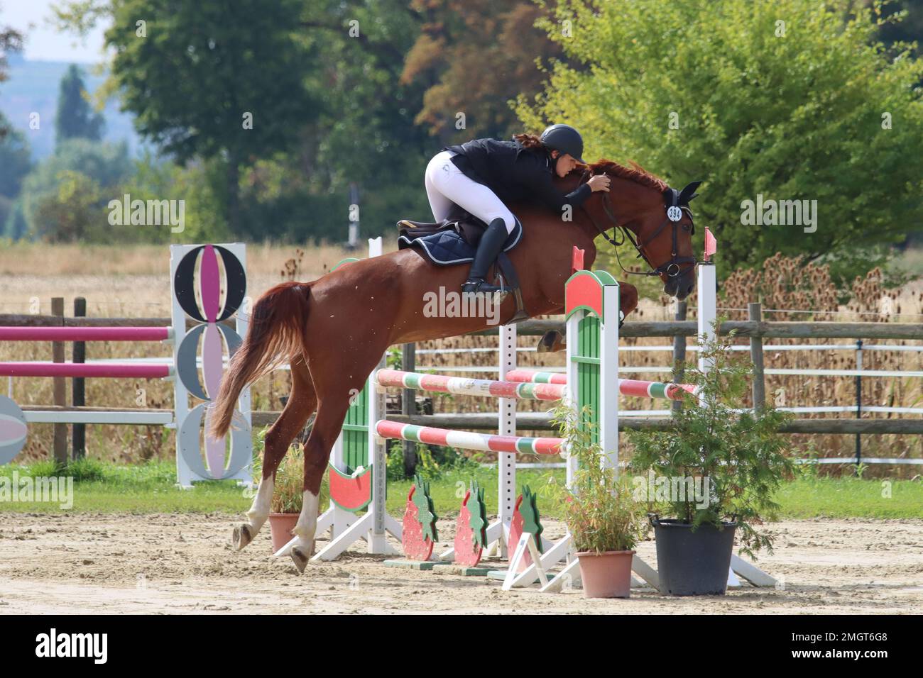 official show jumping tournaments in germany Stock Photo - Alamy