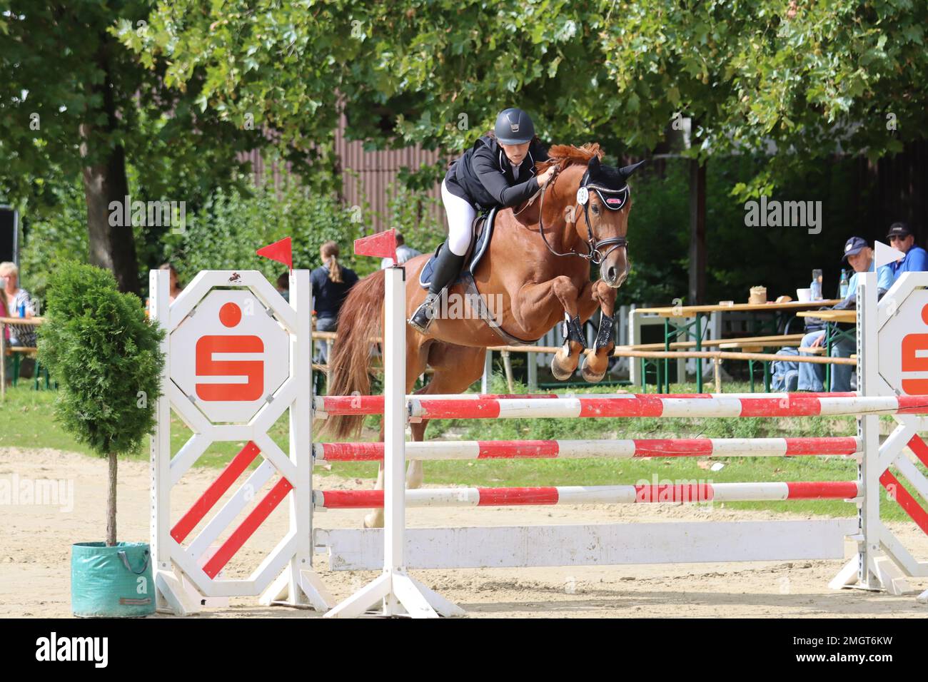 official show jumping tournaments in germany Stock Photo - Alamy