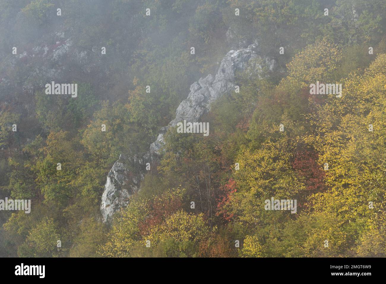 Rock surrounded with forest in autumn colors on mountain slope, fall ...