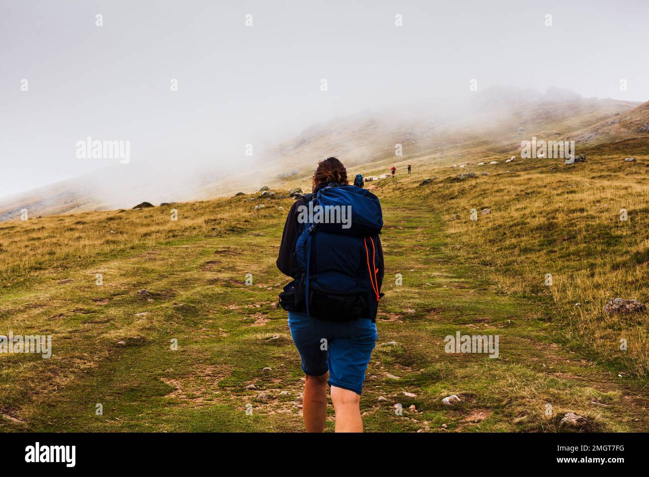 Pilgrim from behind along the Camino de Santiago. Path of the way of St ...