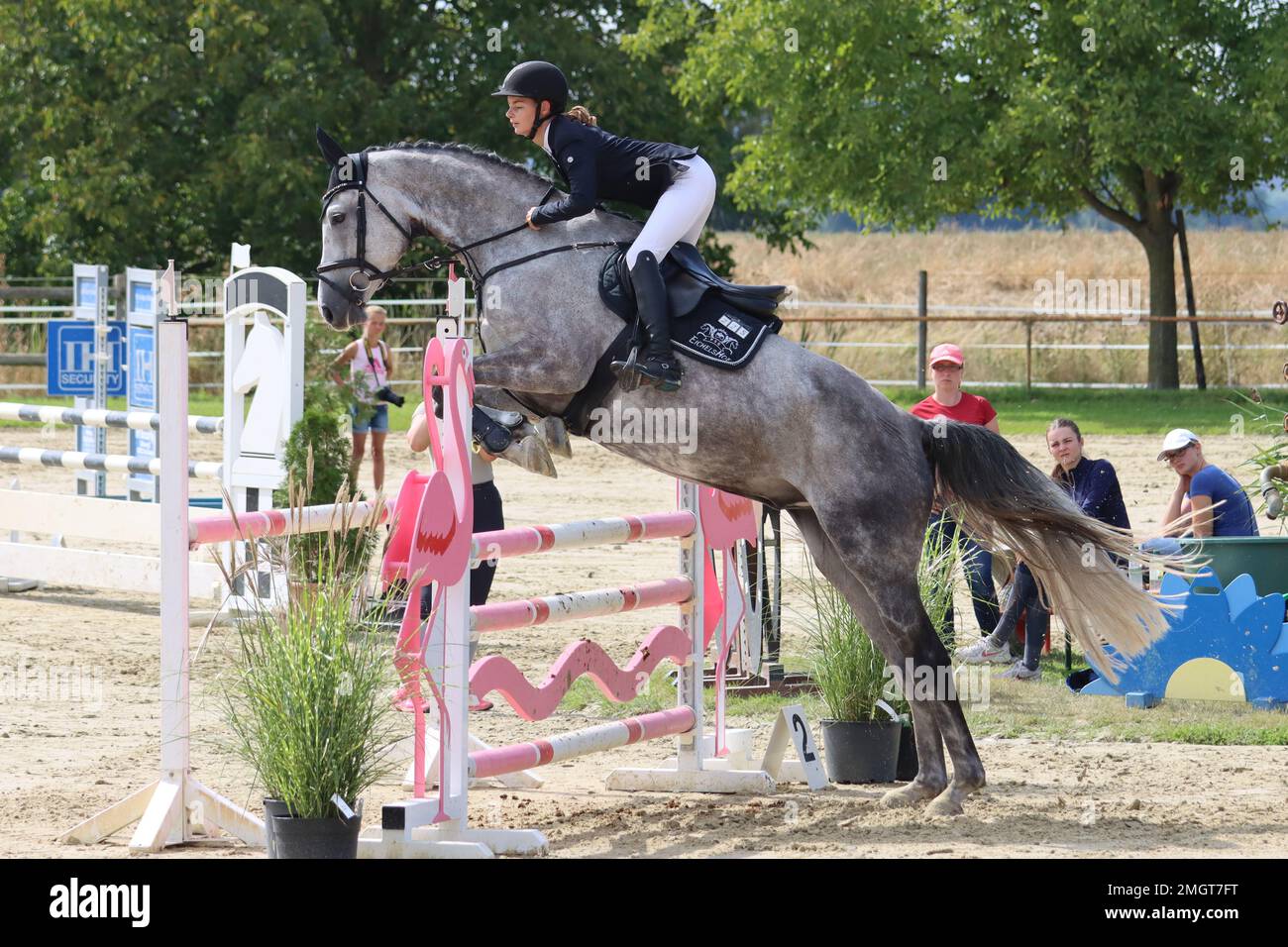 official show jumping tournaments in germany Stock Photo - Alamy