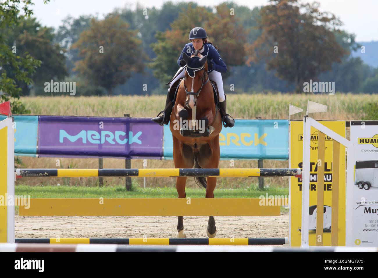 official show jumping tournaments in germany Stock Photo - Alamy