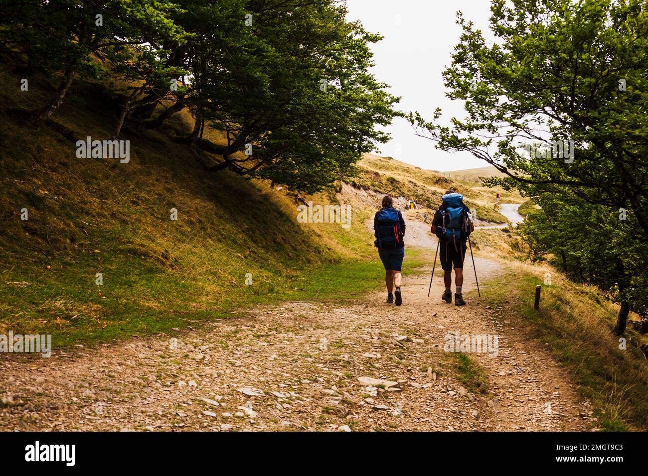 Pilgrims walking in the wood of the Pyrenees, on the border between ...