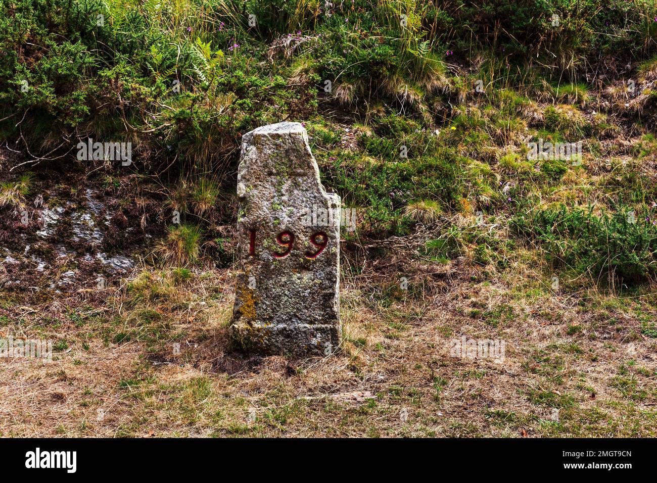 Pilgrimage Way Marking Stone Post with number 199 engraved in the ...