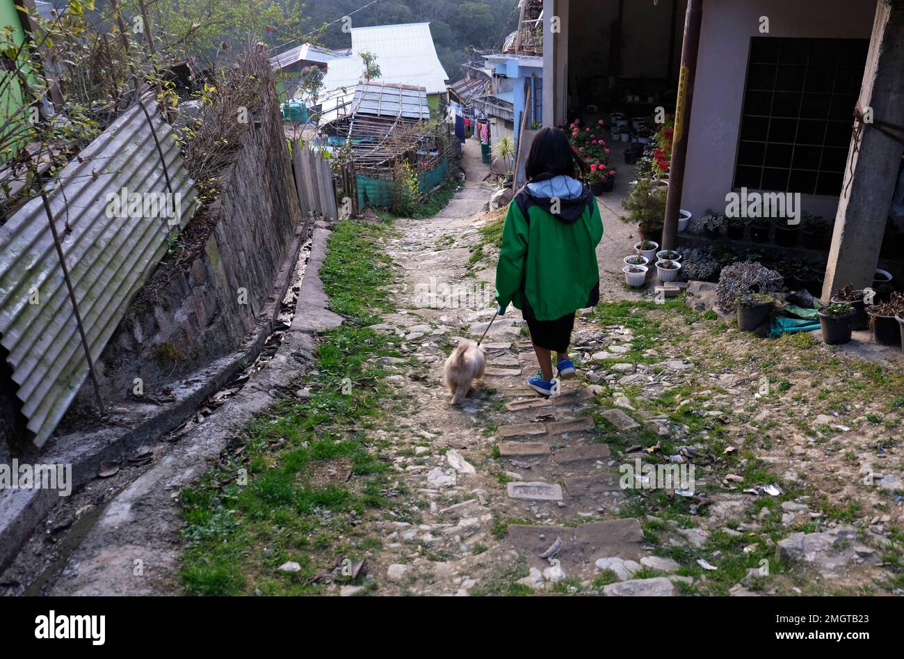 A Naga girl walks downhill with her dog in Kohima, capital of the ...