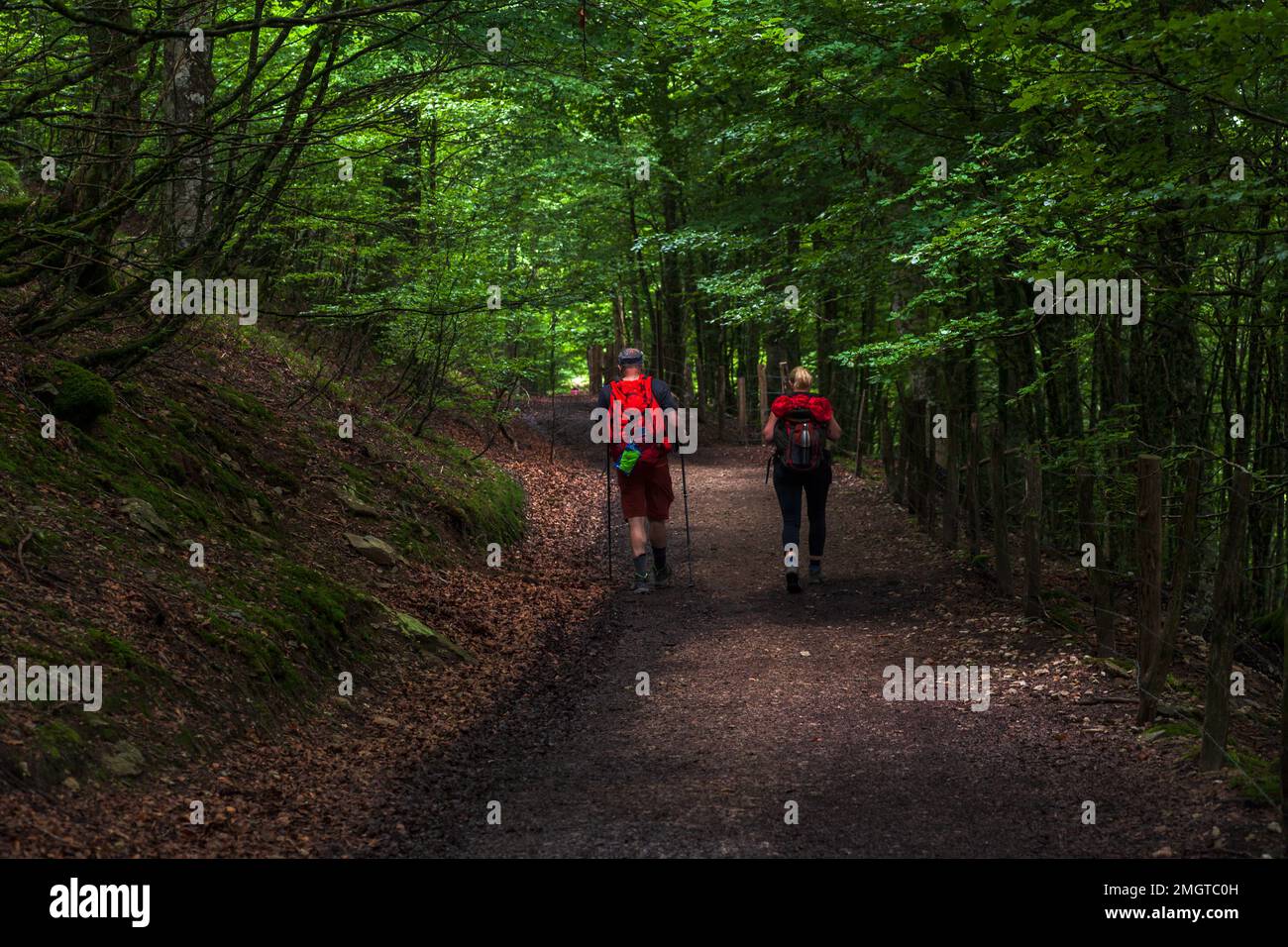 Couple of pilgrims walking in the wood of the Pyrenees, on the border ...