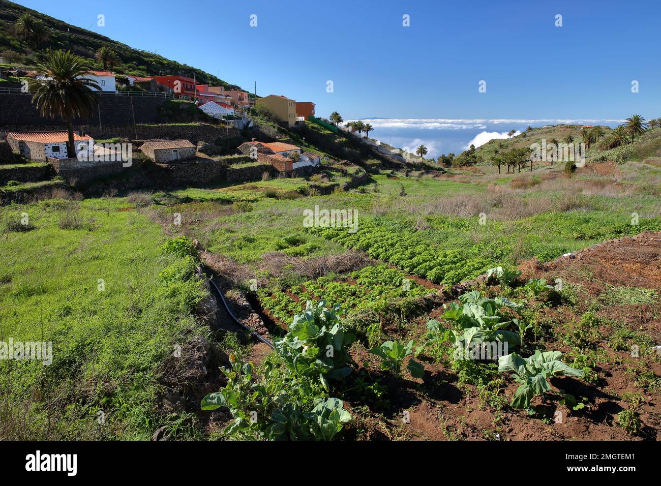 The traditional mountain village El Cercado, La Gomera, Canary Islands ...
