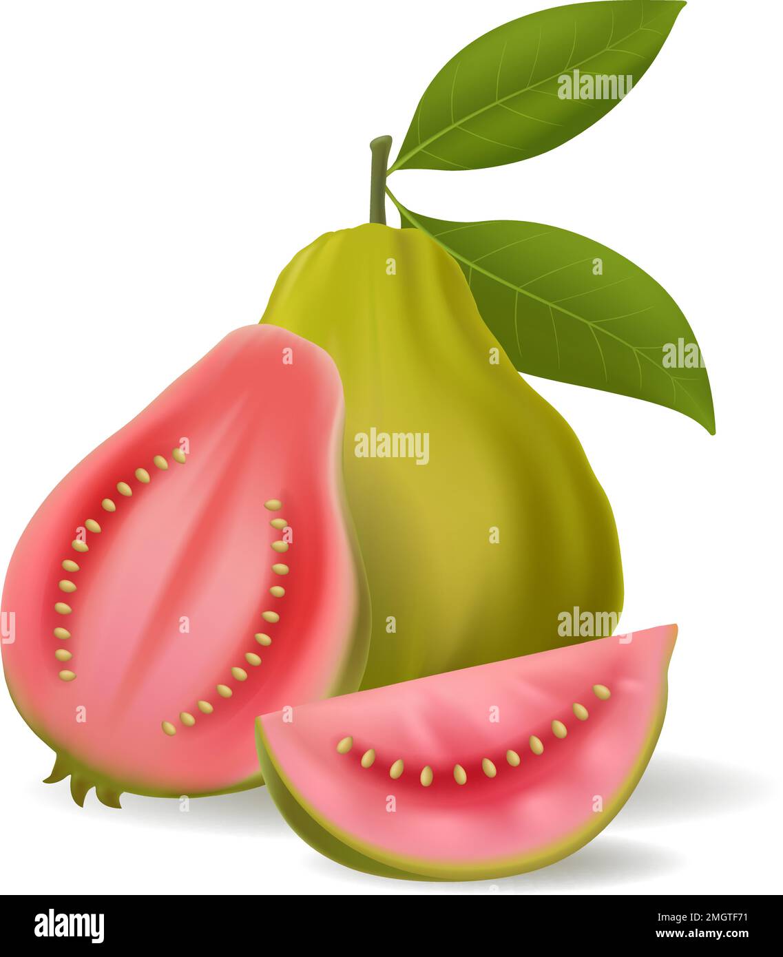 Raw guava Stock Vector Images - Alamy