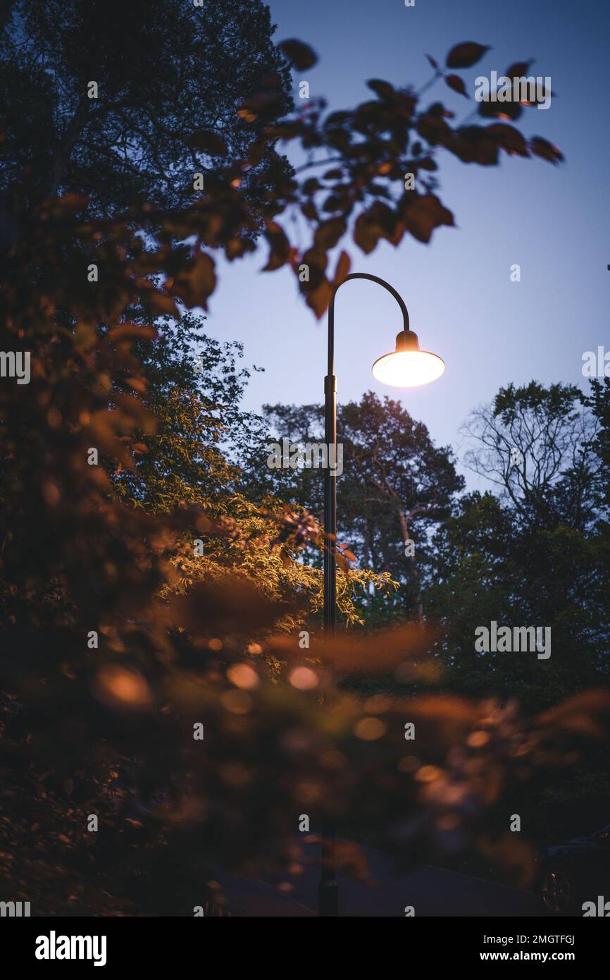 Vertical shot illuminated street hi-res stock photography and images ...