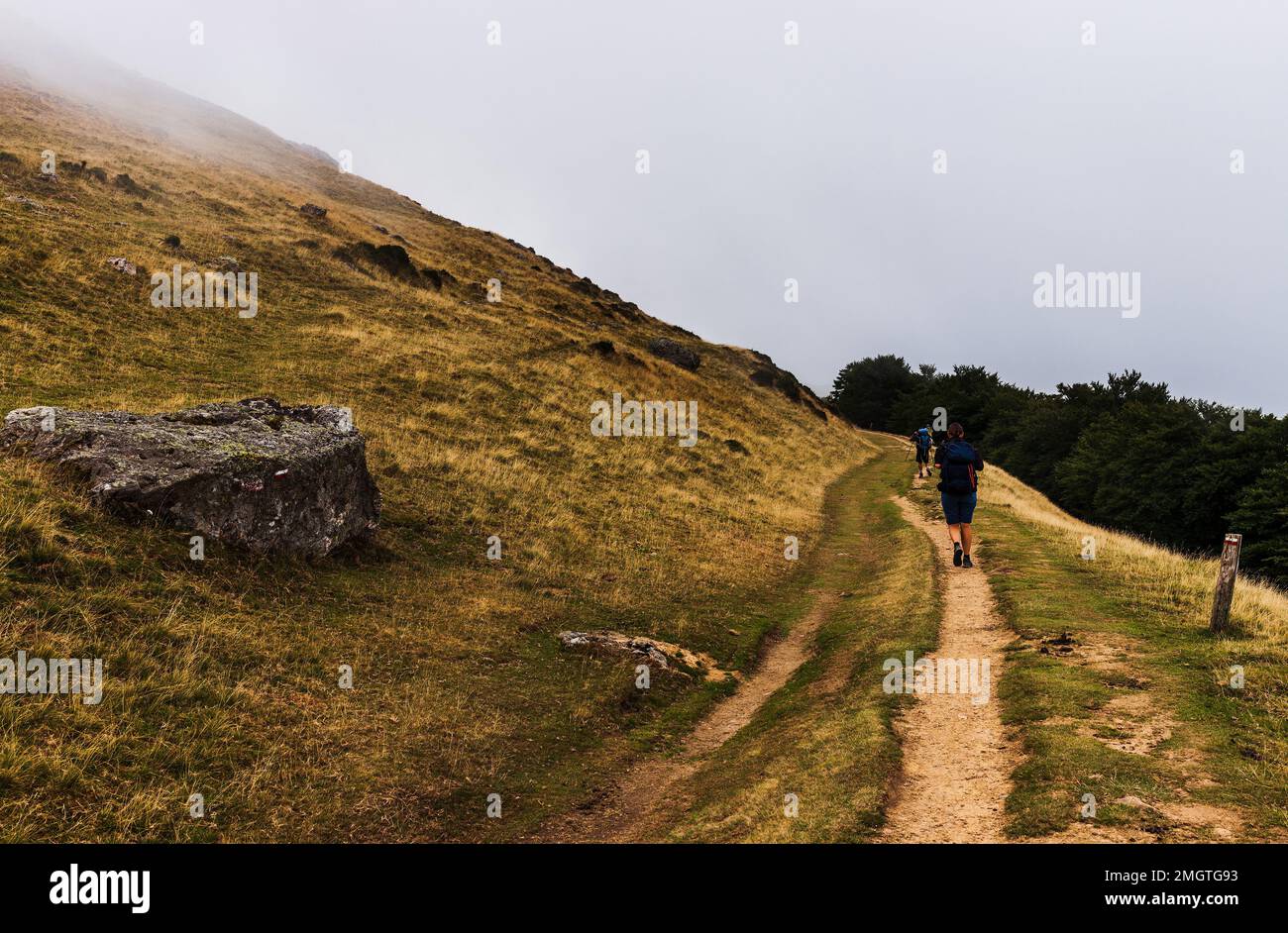Pilgrims from behind along the Camino de Santiago. Path of the way of ...
