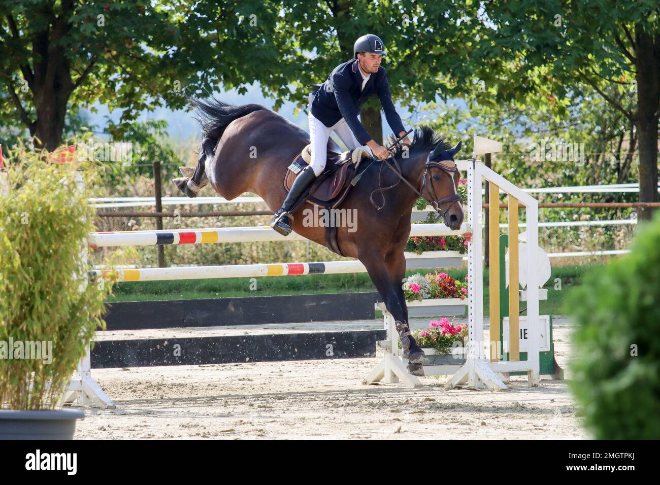 official show jumping tournaments in germany Stock Photo - Alamy