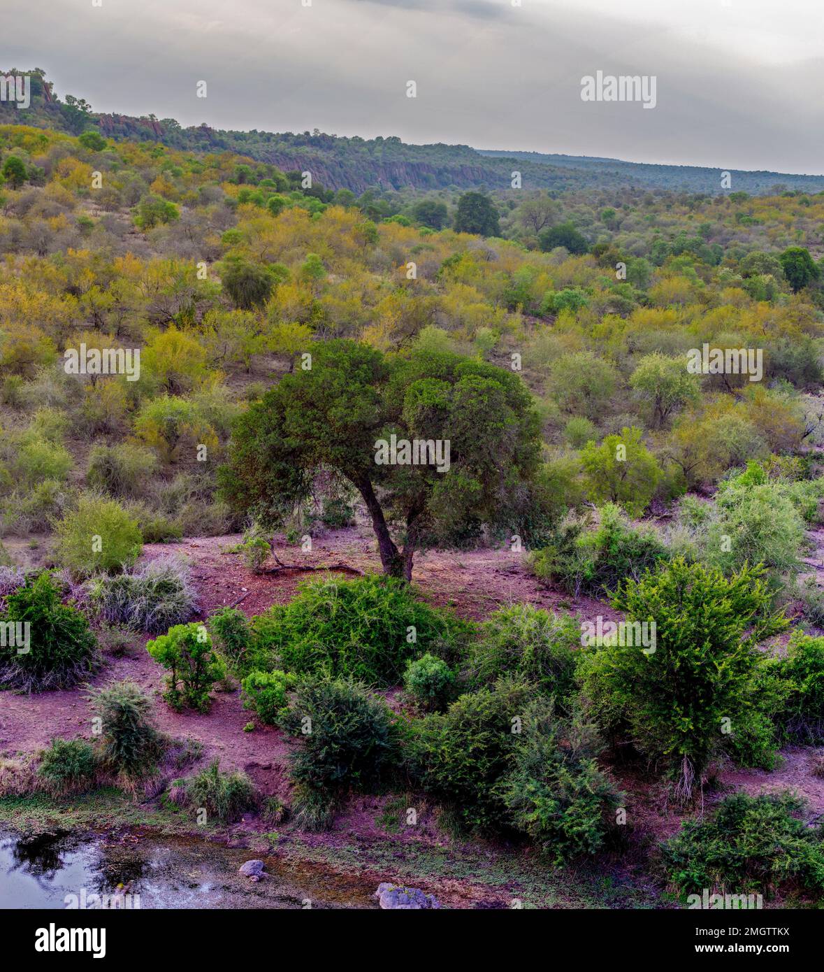 N’wanetsi river hi-res stock photography and images - Alamy