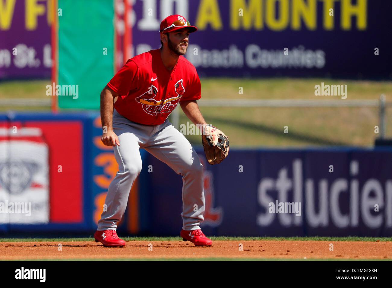 St. Louis Cardinals second baseman Max Schrock takes up his position ...