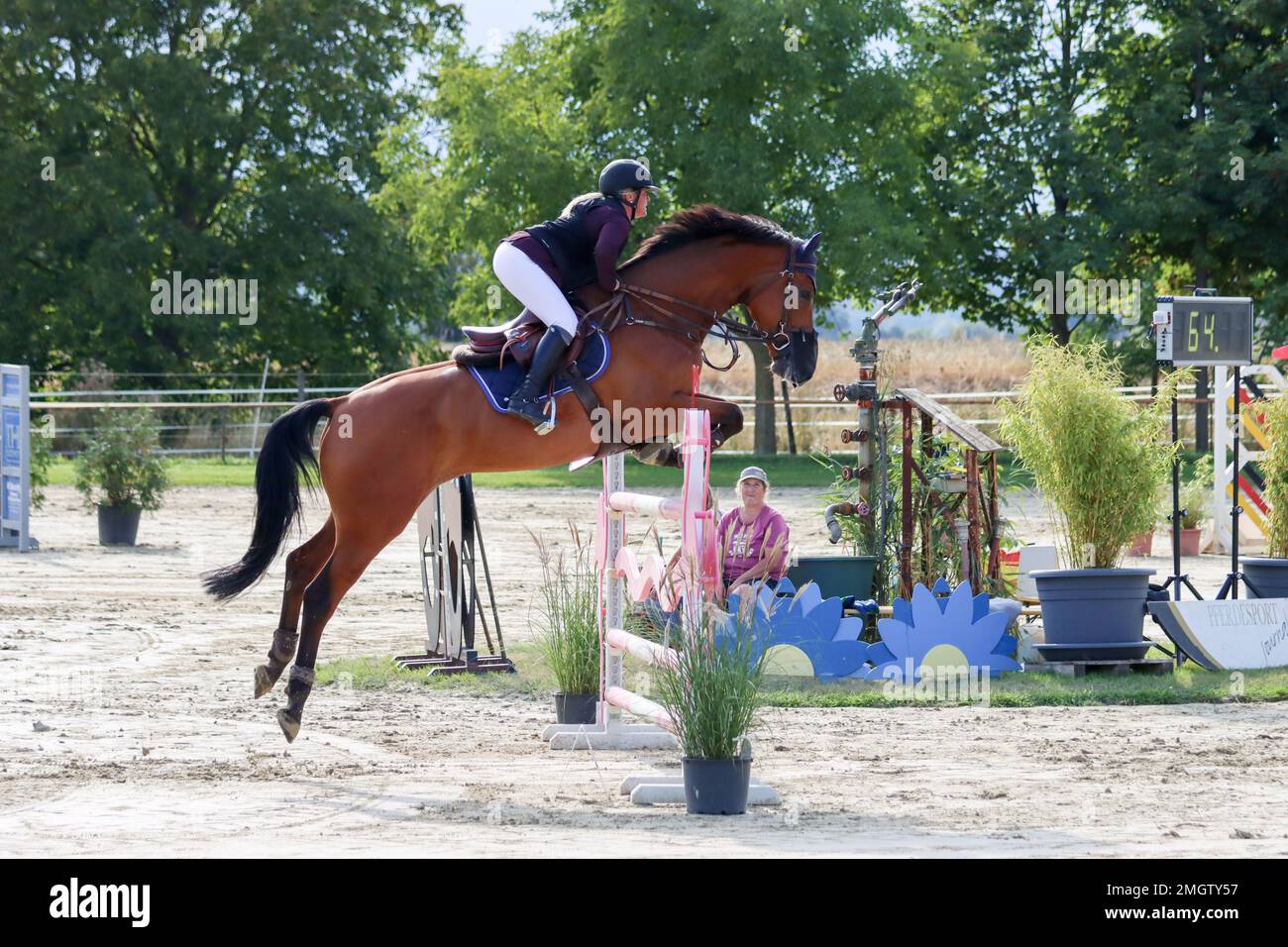 German show jumping rider hi-res stock photography and images - Alamy