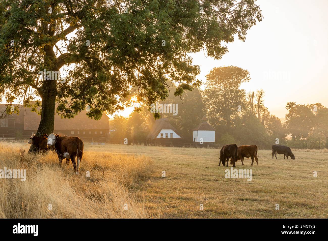 Elsenham, Essex, England, UK - Local area photography Stock Photo - Alamy