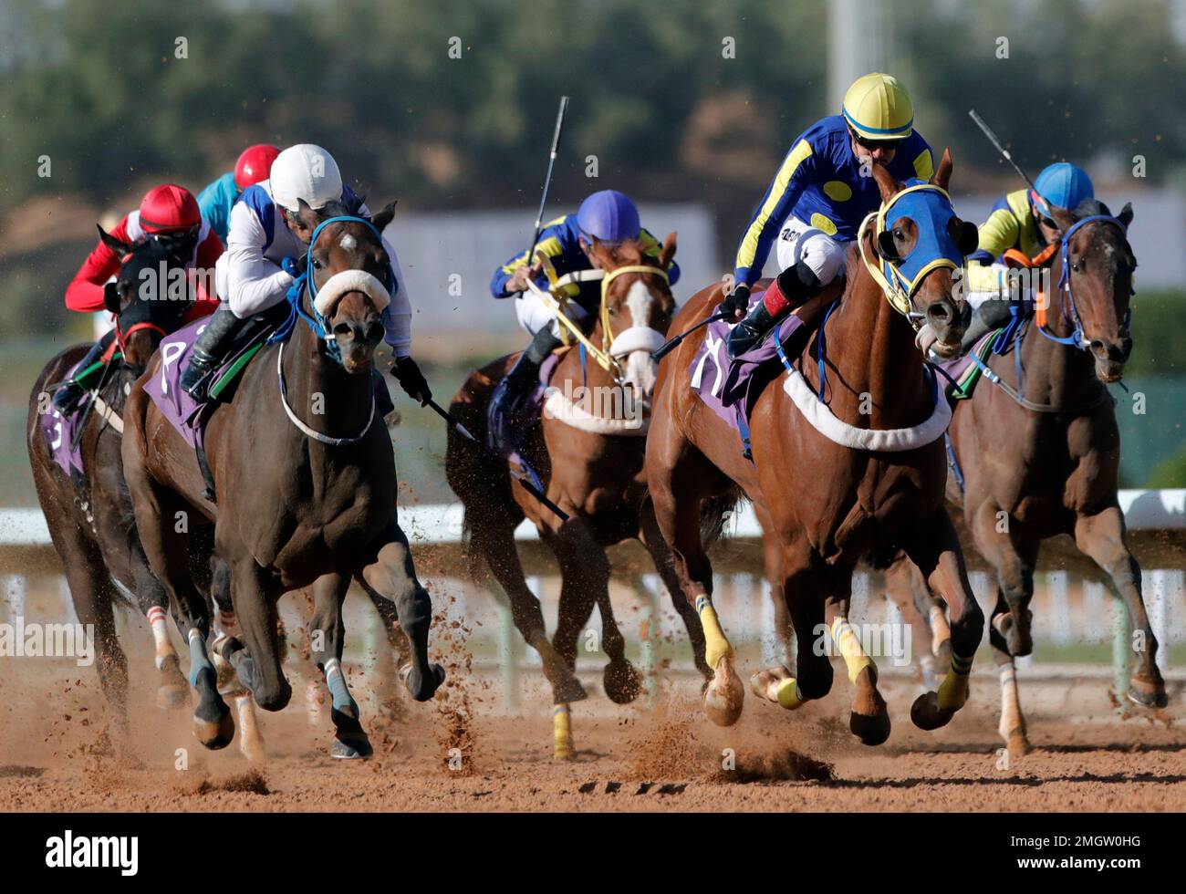 Horses take off after the start of $20 million horse race, the Saudi ...