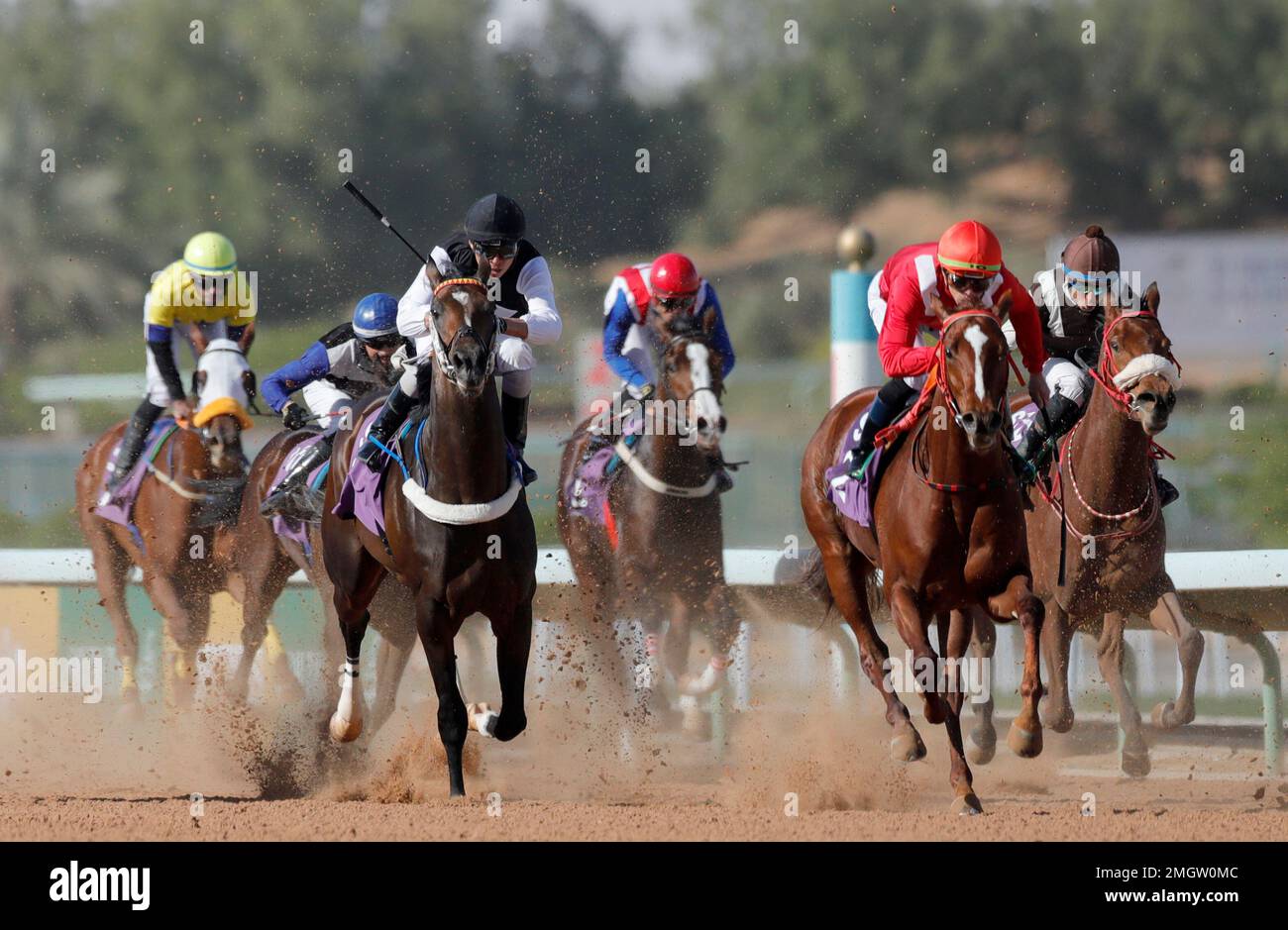 Horses take off after the start of $20 million horse race, the Saudi ...