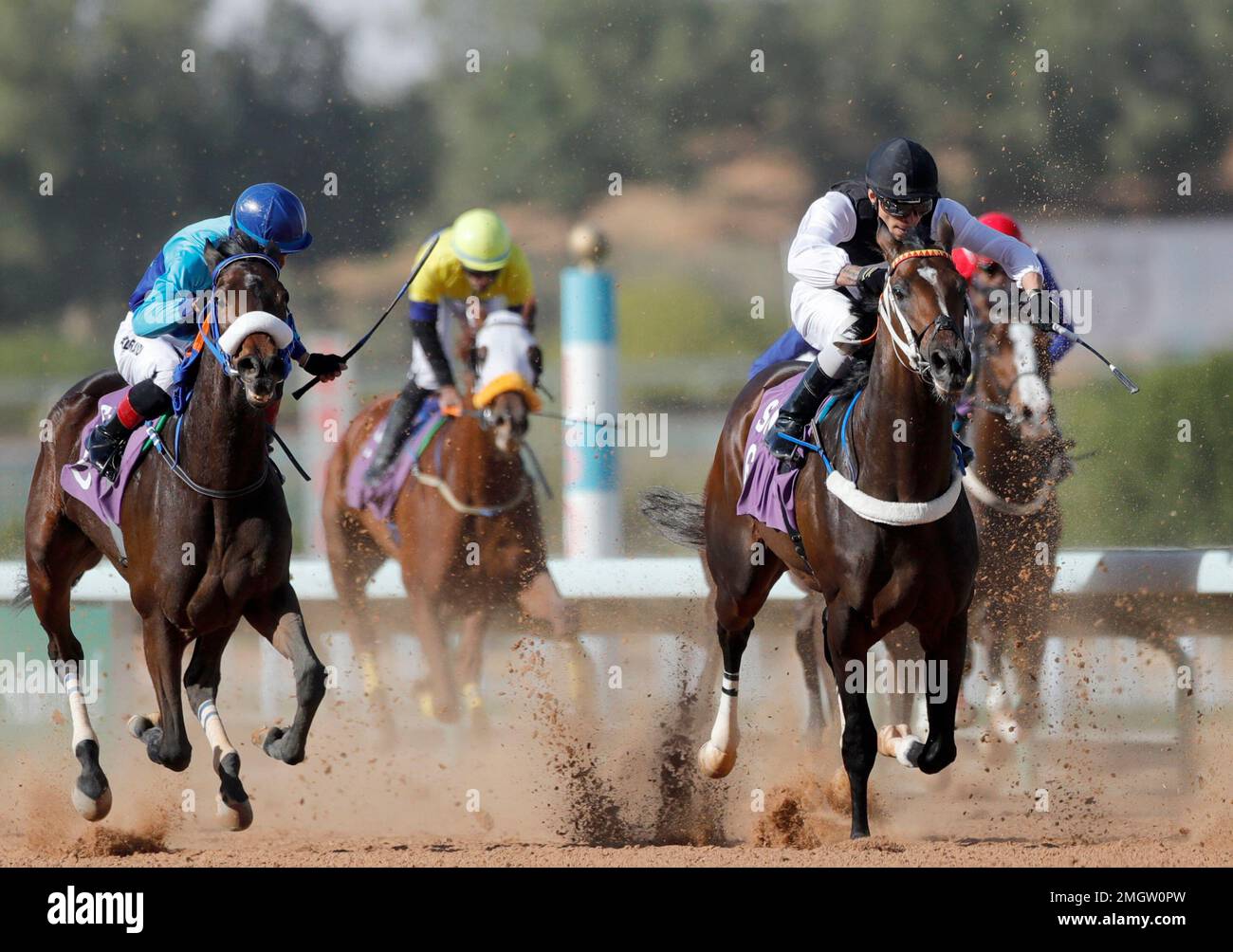 Horses take off after the start of $20 million horse race, the Saudi ...