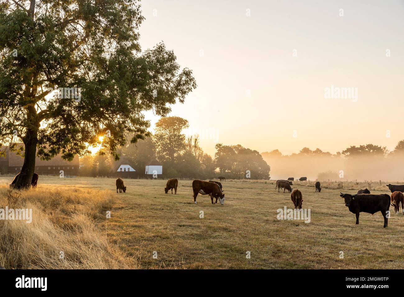 Elsenham, Essex, England, UK - Local area photography Stock Photo - Alamy