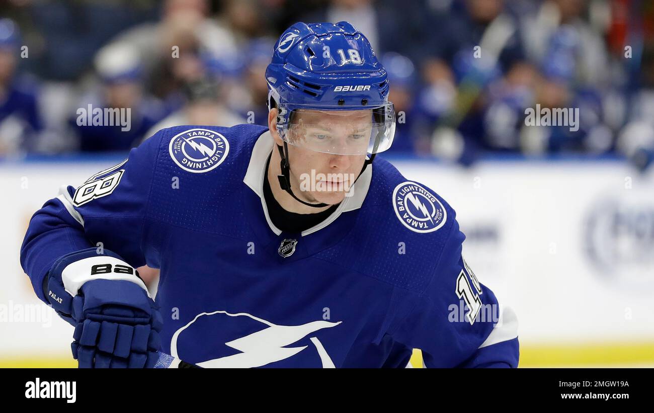 Tampa Bay Lightning left wing Ondrej Palat (18) during the second ...