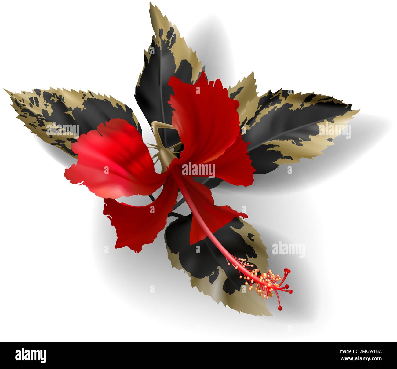 Tropical black and gold leaves on white background vector. Beautiful ...