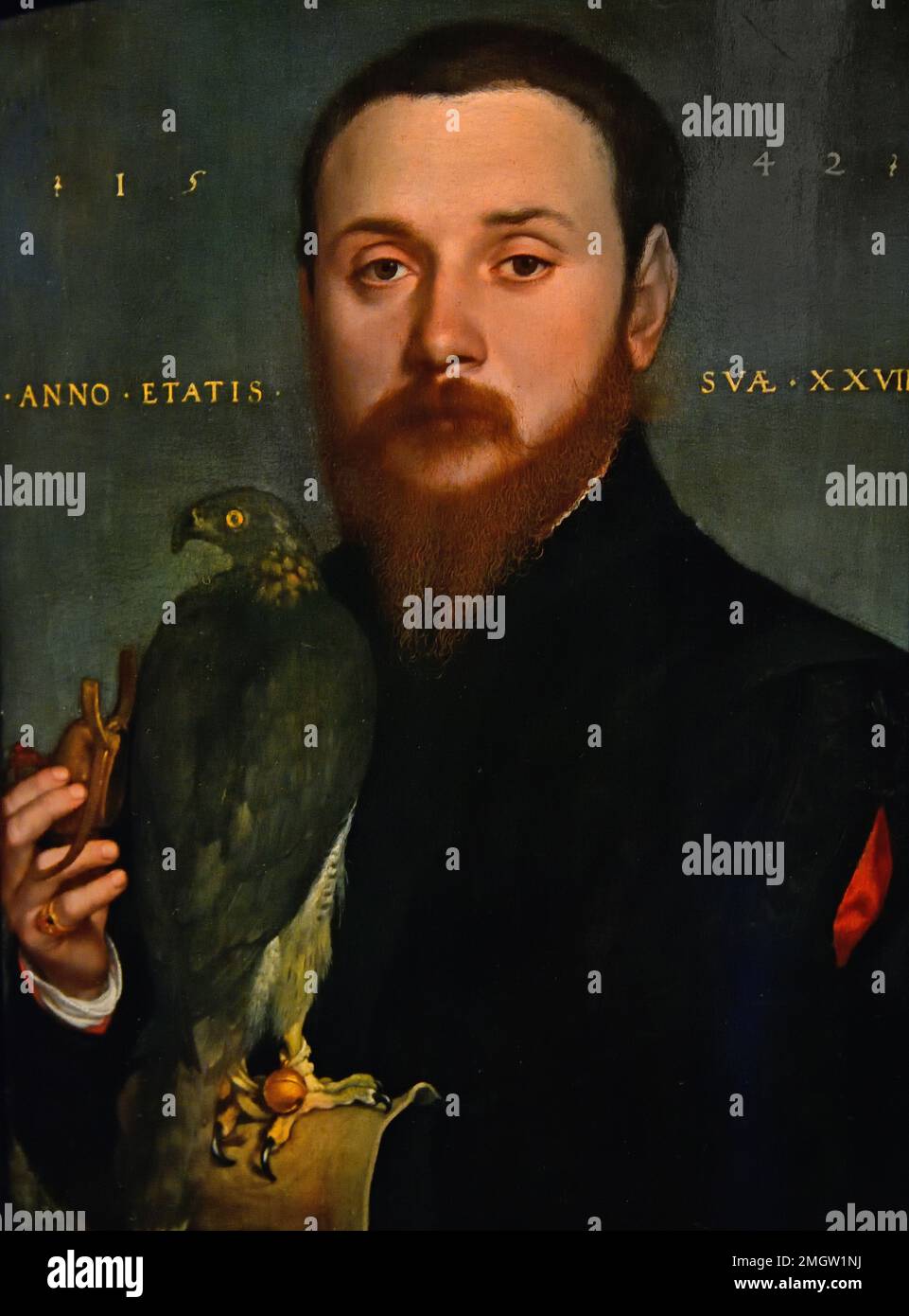 Portrait of a Nobleman with a Hawk 1542 Hans Holbein the Younger 497 ...