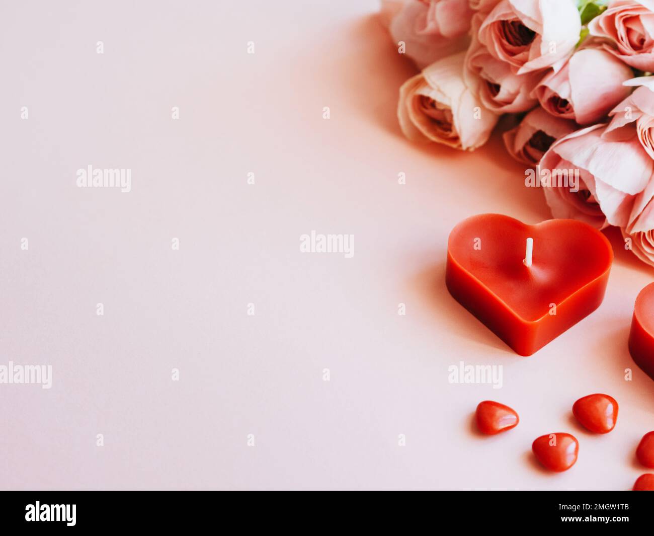 Pink blossoming ranunculus on pink festive background, pastel bouquet ...