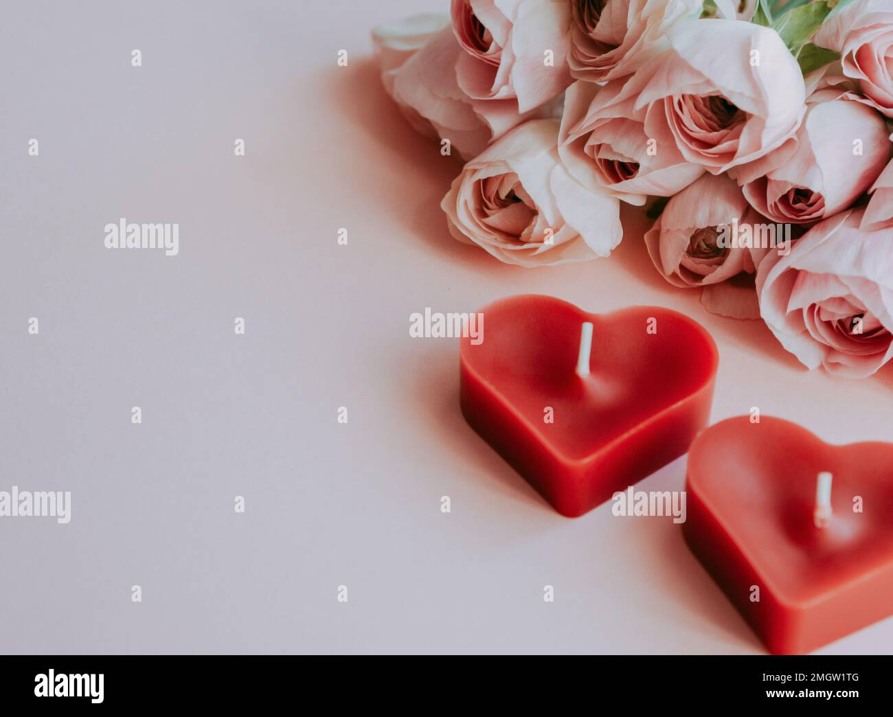 Pink blossoming ranunculus on pink festive background, pastel bouquet ...