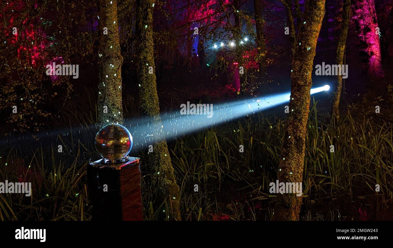 The Enchanted Forest, Faskally Wood, Pitlochry Stock Photo - Alamy