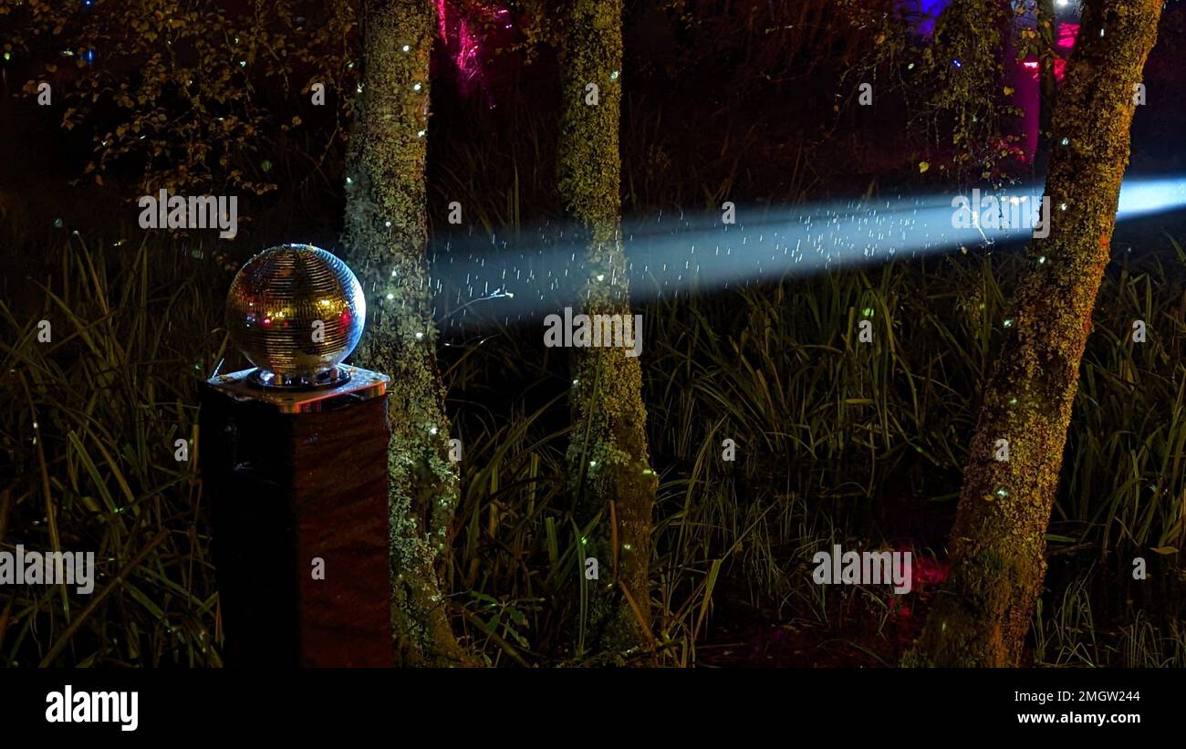 The Enchanted Forest, Faskally Wood, Pitlochry Stock Photo - Alamy