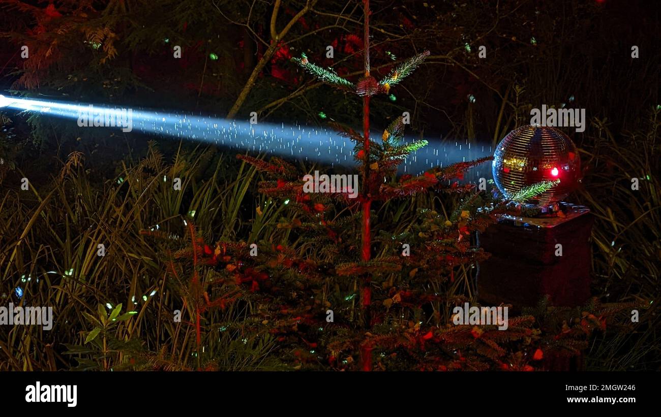 The Enchanted Forest, Faskally Wood, Pitlochry Stock Photo - Alamy