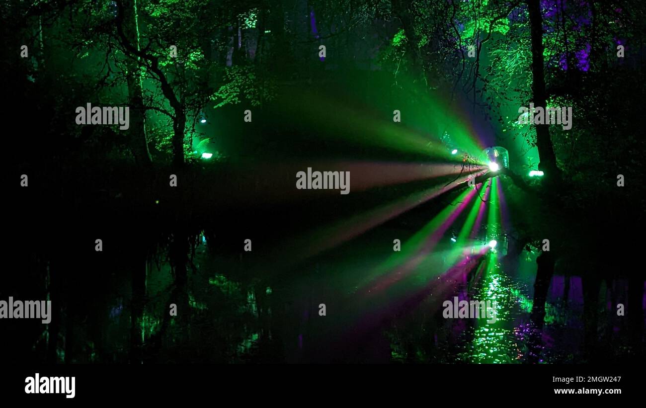 The Enchanted Forest, Faskally Wood, Pitlochry Stock Photo - Alamy