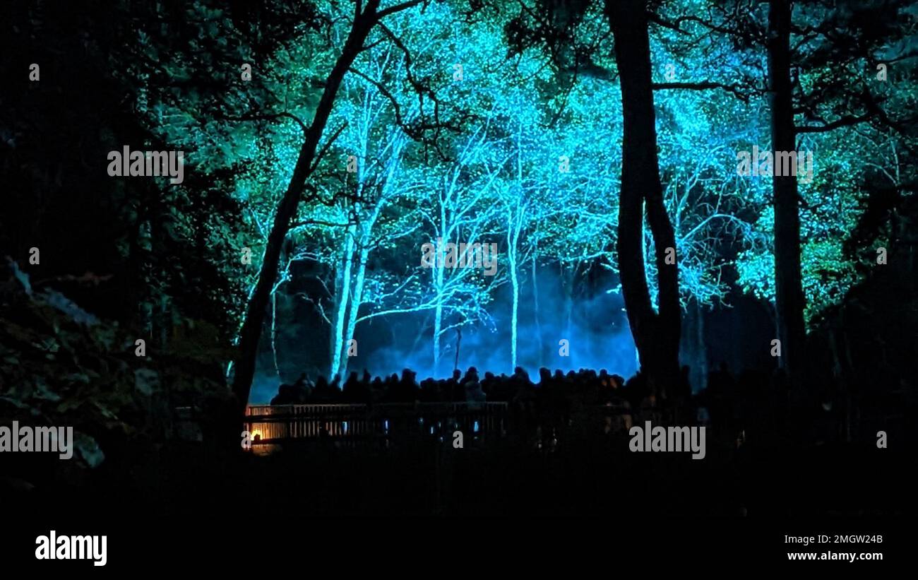The Enchanted Forest, Faskally Wood, Pitlochry Stock Photo - Alamy