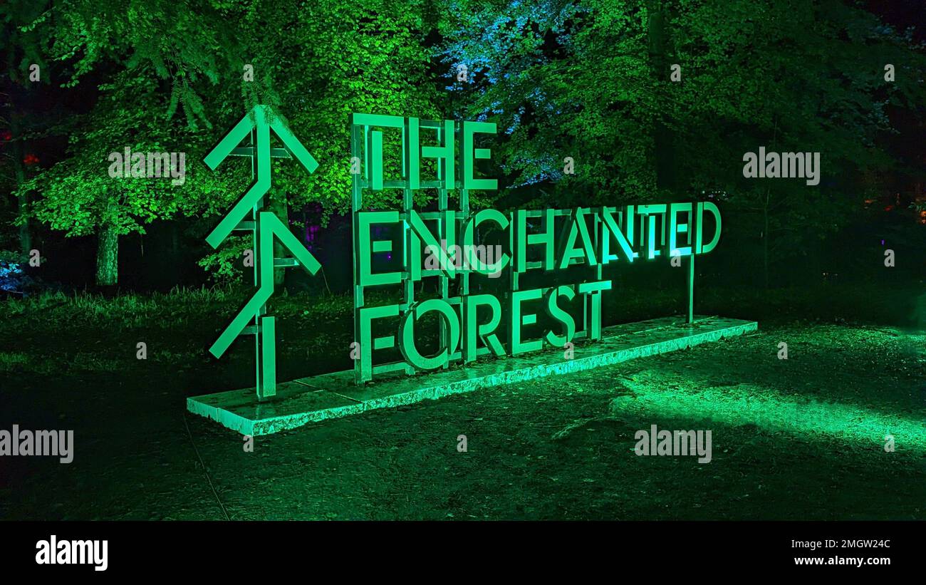 The Enchanted Forest, Faskally Wood, Pitlochry Stock Photo - Alamy