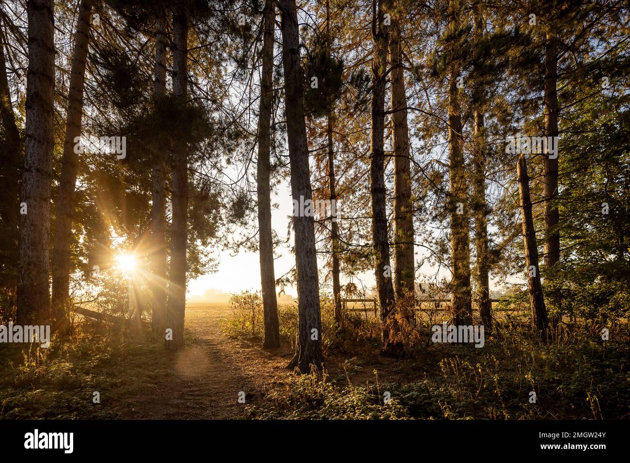 Elsenham, Essex, England, UK - Local area photography Stock Photo - Alamy