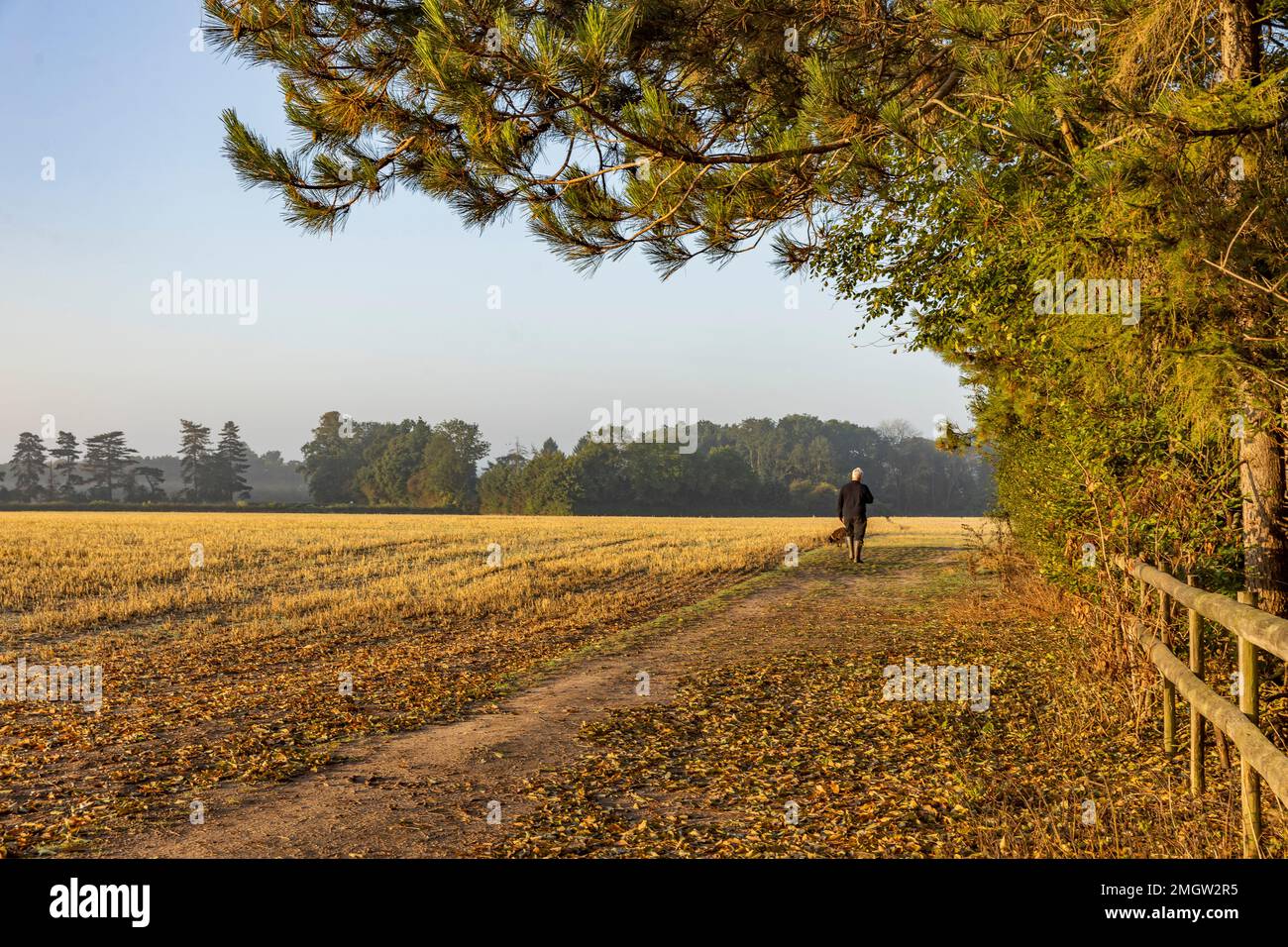 Elsenham, Essex, England, UK - Local area photography Stock Photo - Alamy