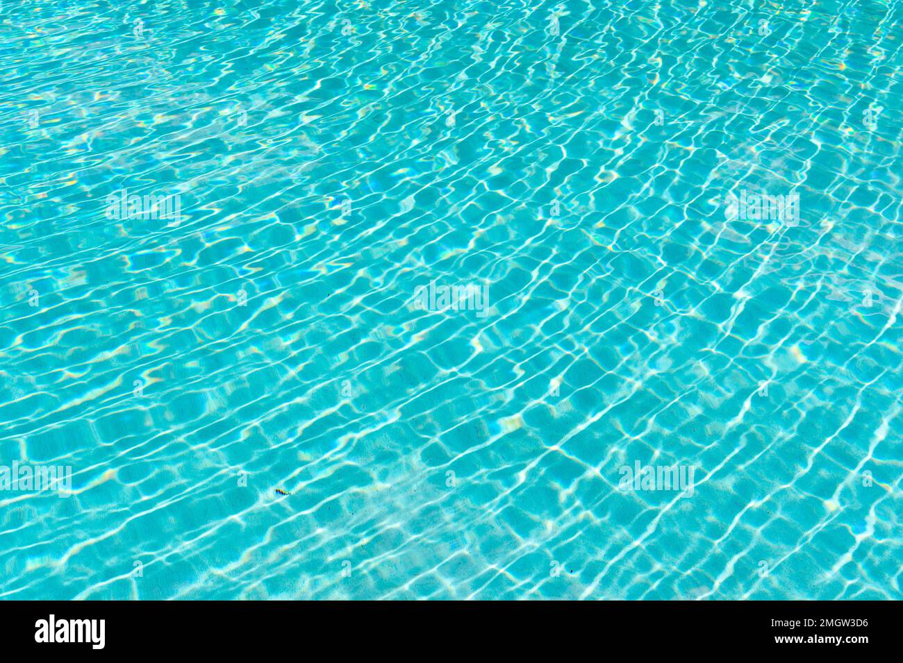 summer pool water background with nobody, bermudas. photo of summer ...