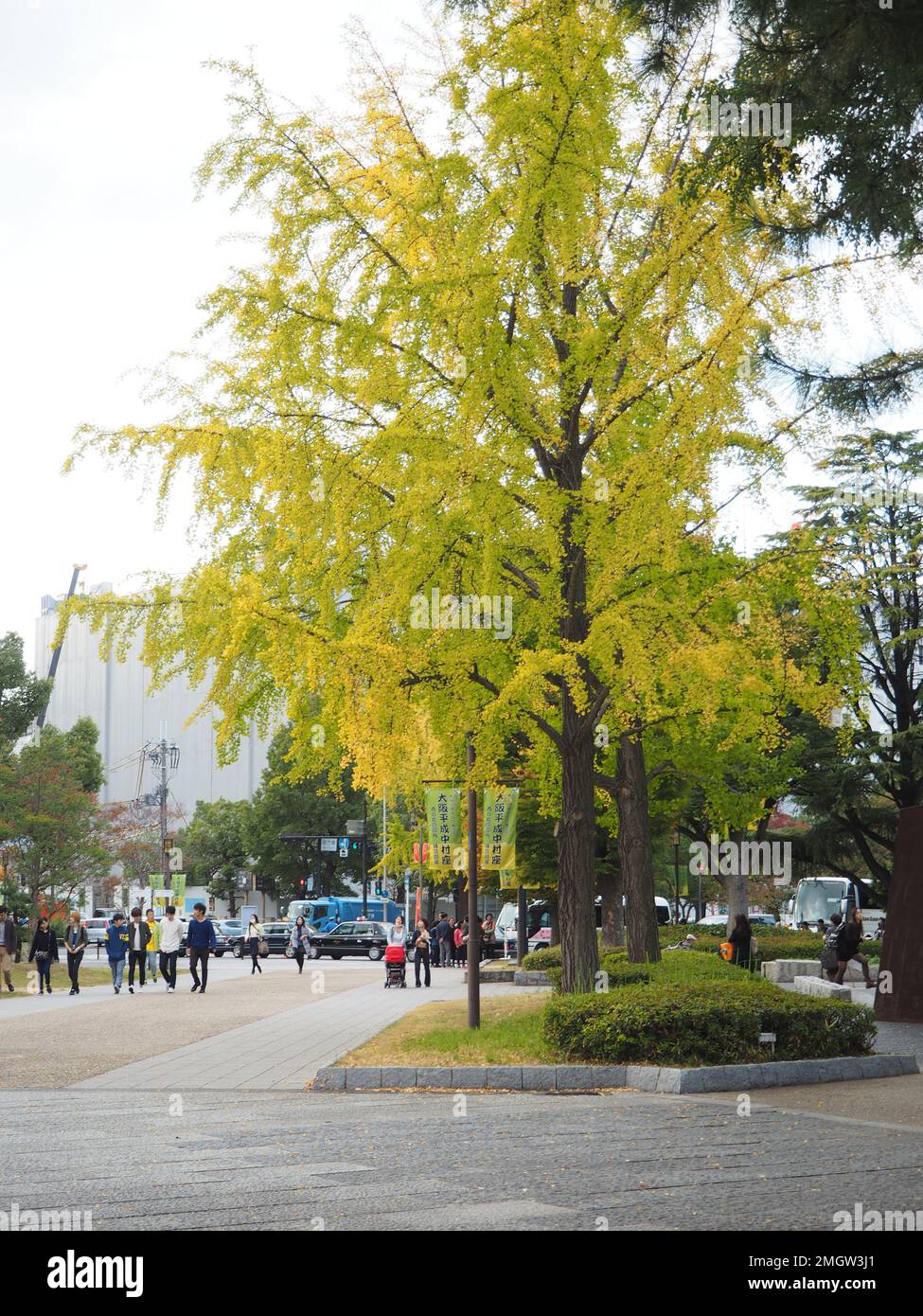 Best view in japan hi-res stock photography and images - Alamy
