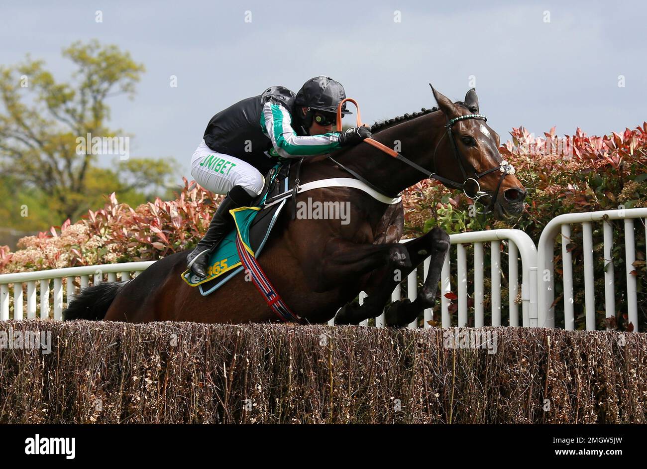 File photo dated 27-04-2019 of Altior and Nico de Boinville clear an ...