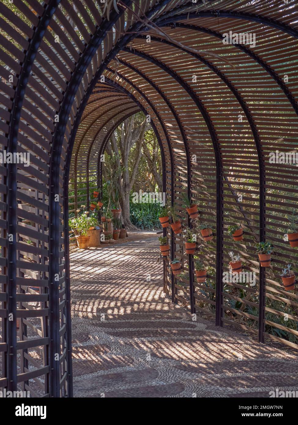An Arched walk way made of metal and wood in a garden in Cape Town ...