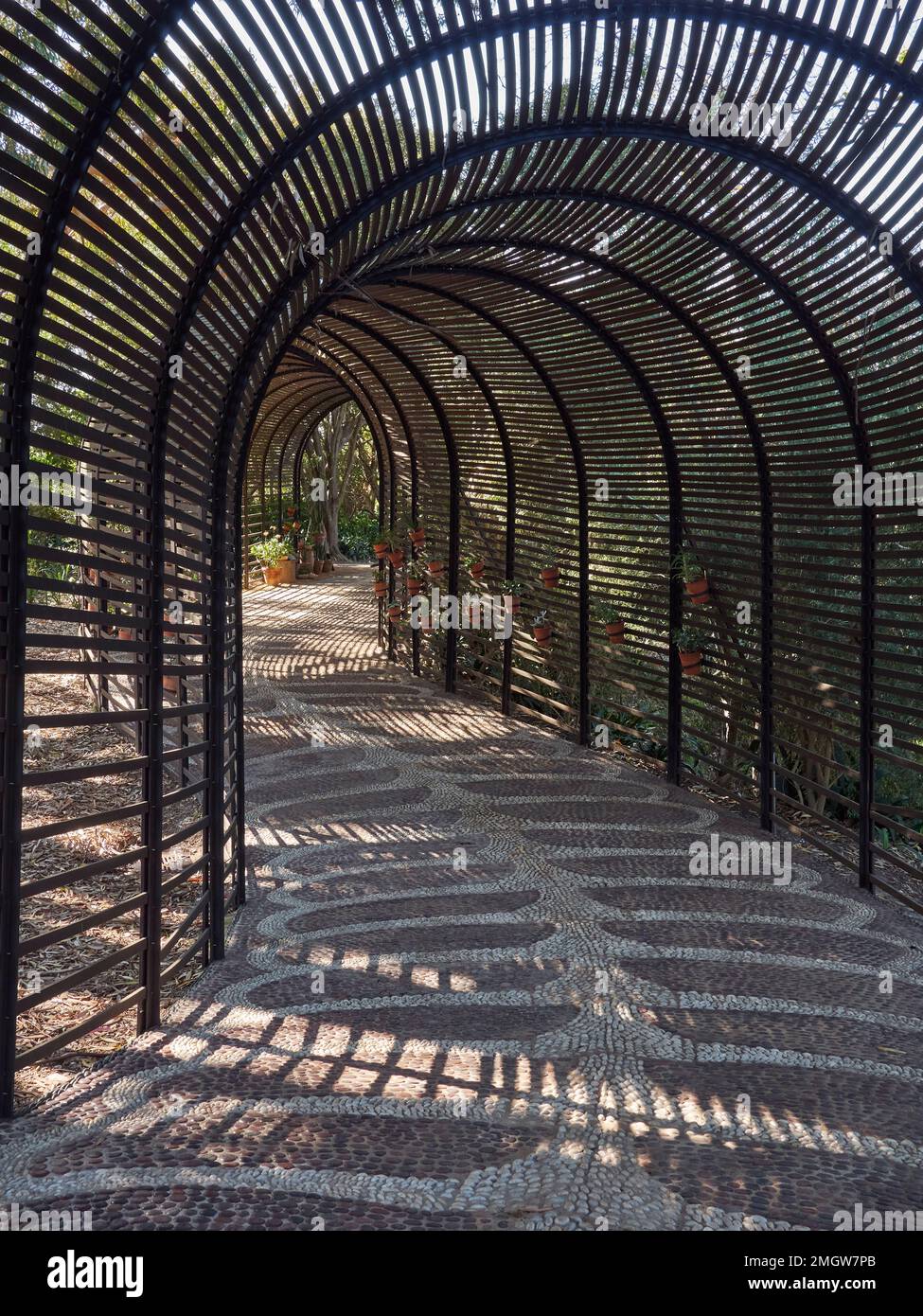 An Arched walk way made of metal and wood in a garden in Cape Town ...
