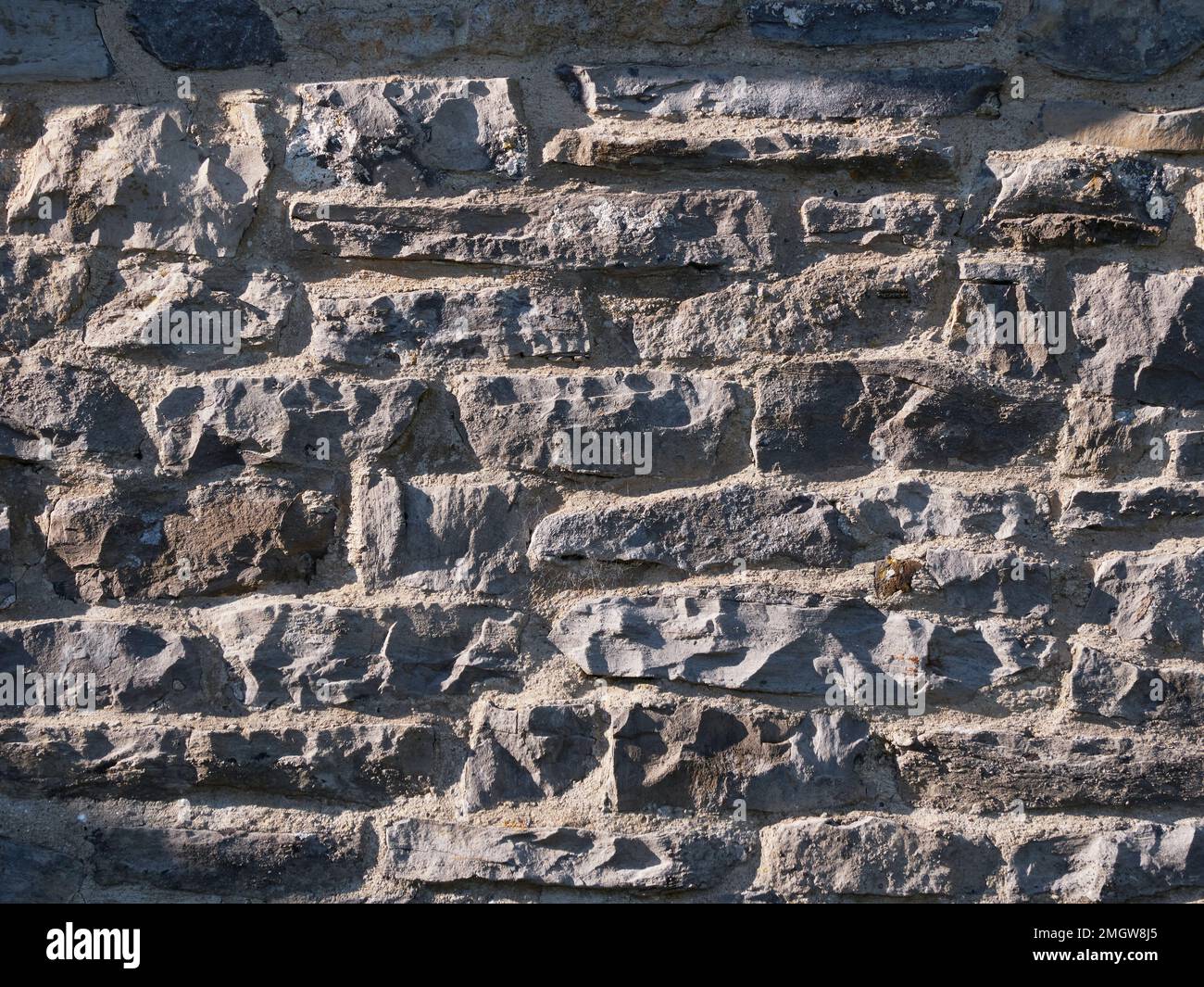 Full frame bleed hi-res stock photography and images - Alamy