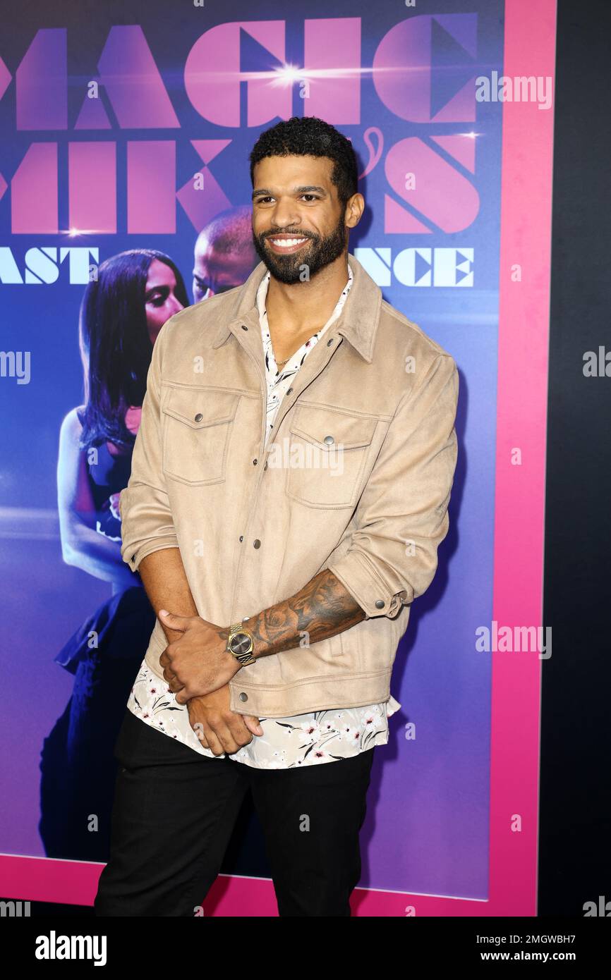 MIAMI BEACH, FL - JANUARY 25: Nate Bryan attends the "Magic Mike's Last ...