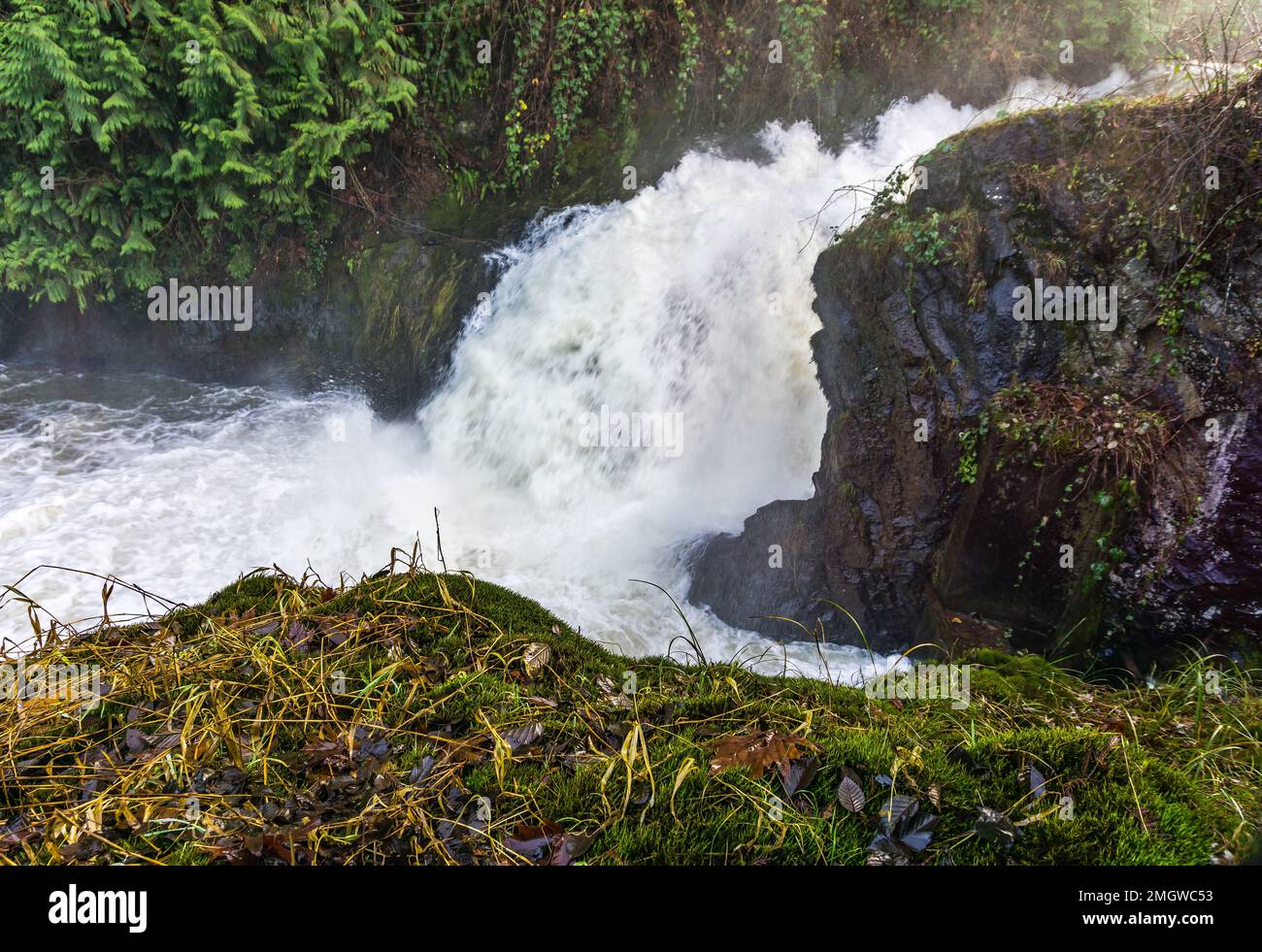 Whitewater explodes at Lower Tumwater Falls in Washington State Stock ...