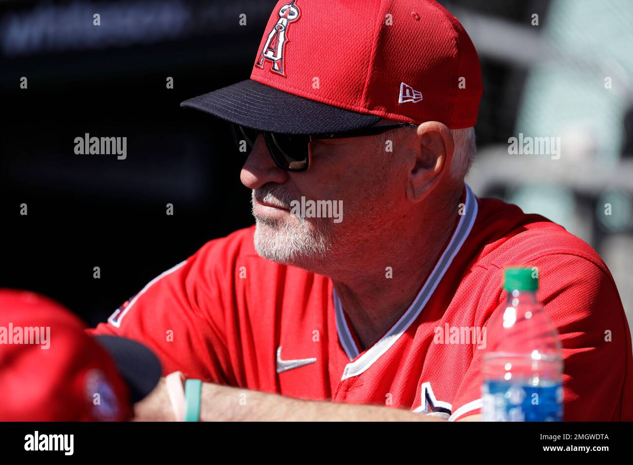 Los Angeles Angels manager Joe Maddon looks on before a spring training ...