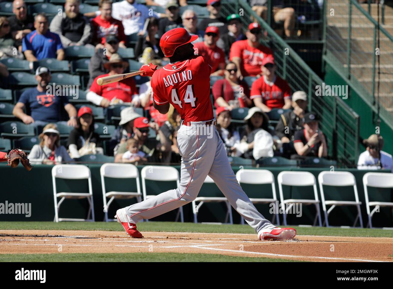 Cincinnati Reds' Aristides Aquino his during a spring training baseball ...
