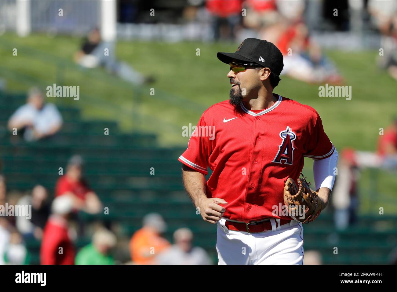 Los Angeles Angels' Anthony Rendon runs to the dugout during a spring ...