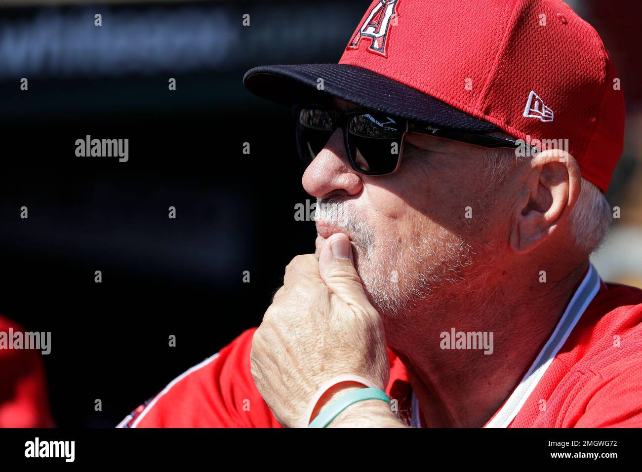 Los Angeles Angels manager Joe Maddon looks on before a spring training ...